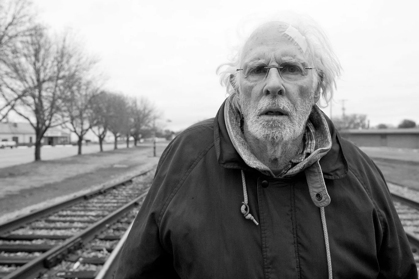 Bruce Dern skończył 90 lat. Córka legendarnego aktora poszła w jego ...