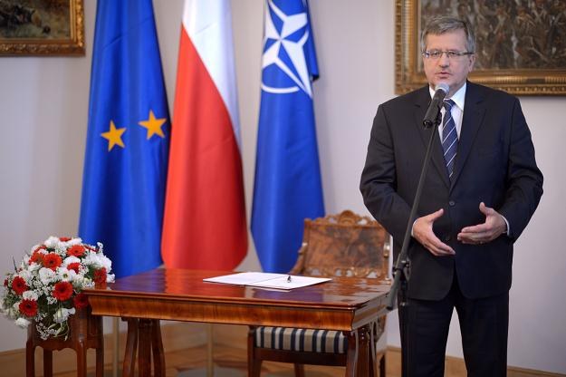 Rząd zmiażdżony w nowym sondażu. Za to prezydent... - Wydarzenia w INTERIA.PL