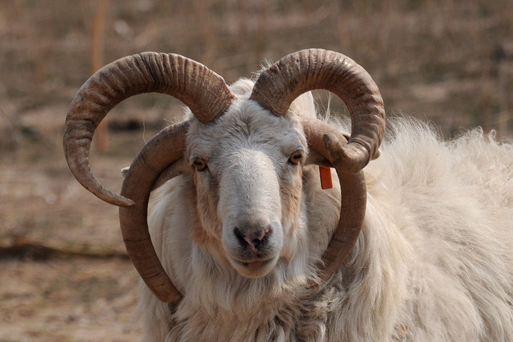 Skojarzenia - strona 1238 - Zabawy - Depresja.ws - Forum