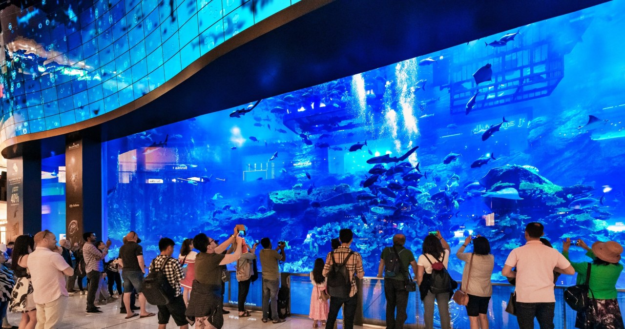 Największe centrum handlowe na świecie. Dubai Mall to małe miasto ...