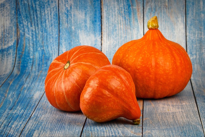Ile jest rodzajów dyni i która odmiana jest najlepsza na Halloween ...