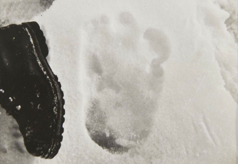 Legendy o yeti. Co w wyobraźni piszczy - Zielona w INTERIA.PL