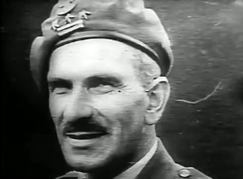 Nowa odmiana tulipana otrzymała nazwę "Generał Stanisław Sosabowski ...