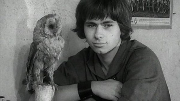 „Stawiam na Tolka Banana”: 40 lat pierwszego młodzieżowego gangu ...