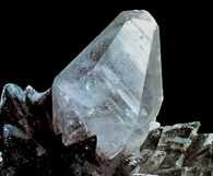 KALCYT - Encyklopedia w INTERIA.PL