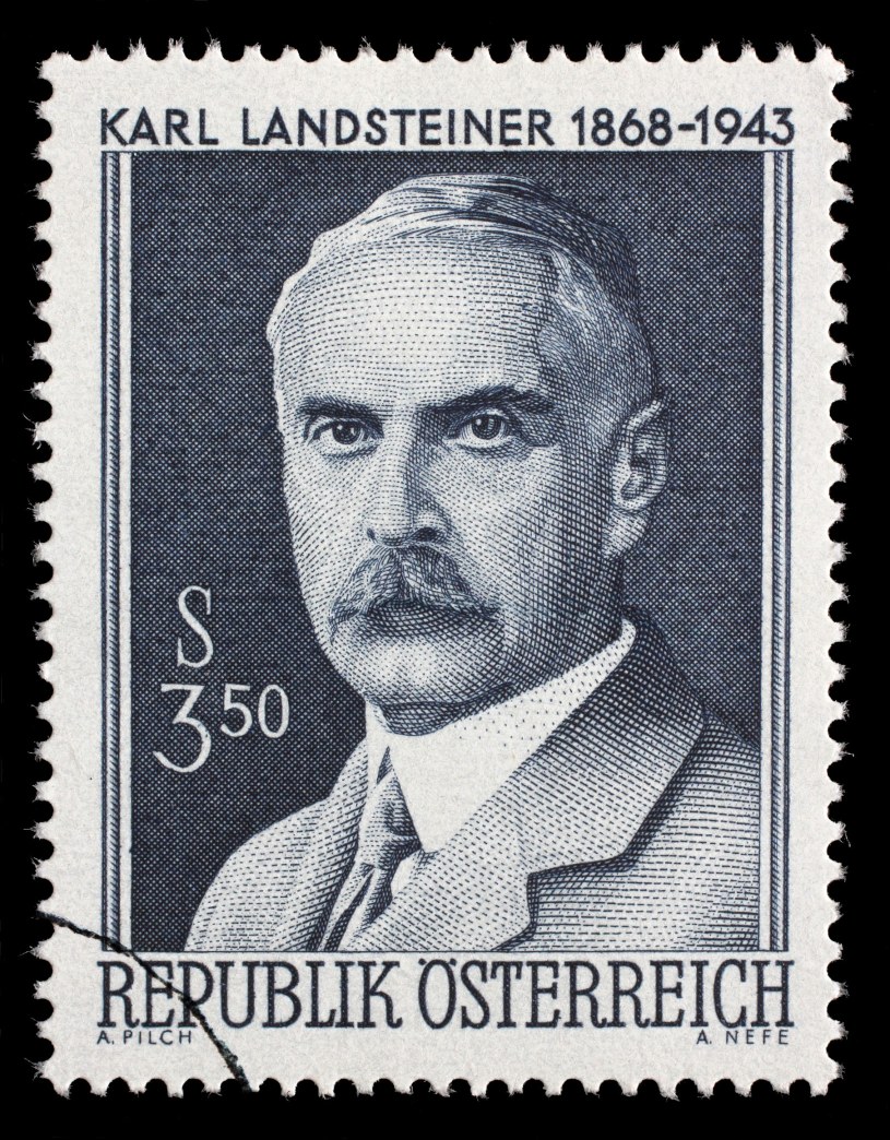 Karl Landsteiner: Kim jest bohater Google Doodle? - Wydarzenia w INTERIA.PL