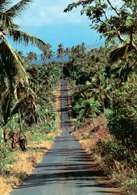 KOMORY - Encyklopedia w INTERIA.PL