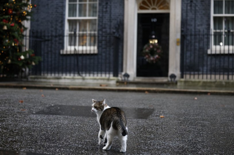 Larry - kot z Downing Street. Premierzy się zmieniają, a on trwa ...