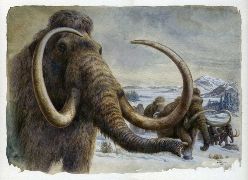 Mamut powraca, a świat ma problem. Musi natychmiast zareagować, jak z ...