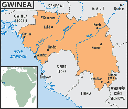 GWINEA - Encyklopedia w INTERIA.PL