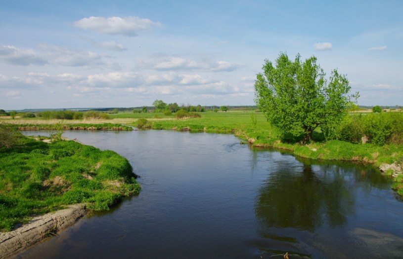 Naprawa delty Nidy. Ekosystem rzeki ma się zregenerować - Zielona w ...