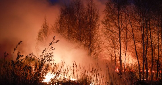 Pożary lasów na Syberii. Są ranni i ofiary śmiertelne - Zdjęcia ...