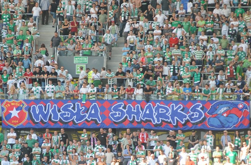 Małopolskie: Pseudokibice Wisła Sharks przed sądem. 215 przestępstw ...