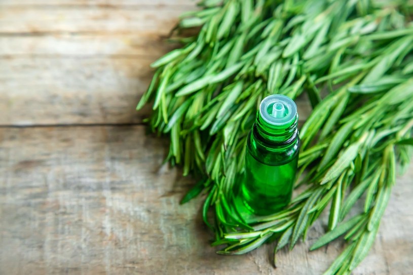 Nalewka z rozmarynu - przepis i zastosowanie - Zdrowie w INTERIA.PL