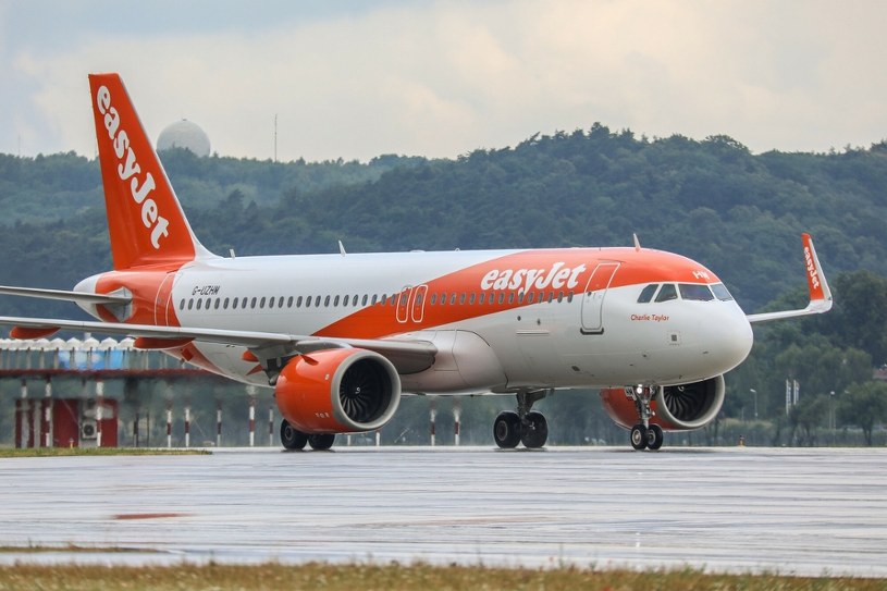 Wielka Brytania. Lotnisko Londyn-Gatwick. Nie żyje niepełnosprawny ...