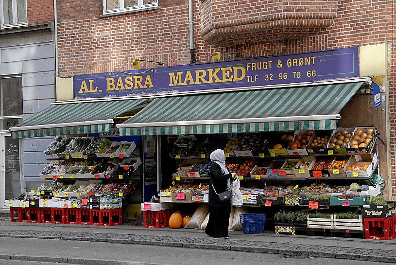 Dania chce, żeby imigranci zapracowali na swoje zasiłki - Wydarzenia w ...