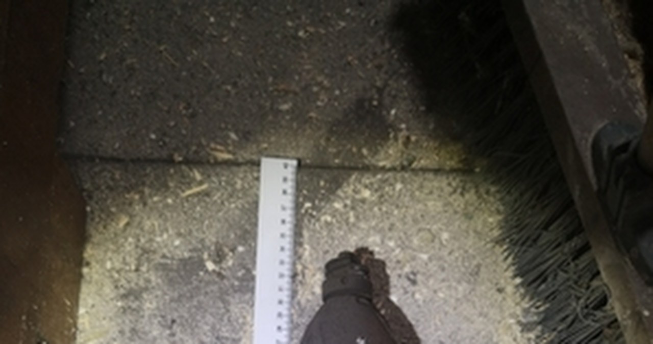 Śląskie: Prawie stuletni pocisk artyleryjski na poddaszu kamienicy ...