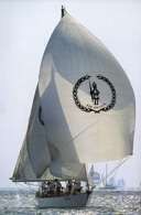SPINAKER - Encyklopedia w INTERIA.PL