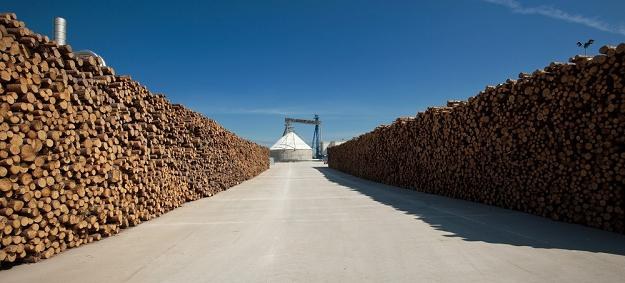 Swedwood planuje otworzyć fabrykę w Stalowej Woli - Biznes w INTERIA.PL