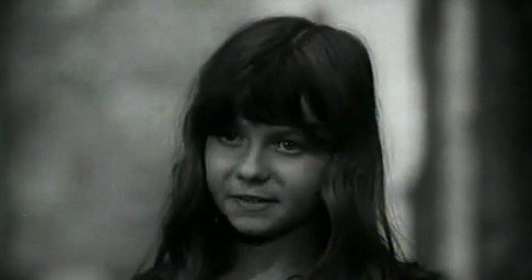 Tolek Banan i spółka - Kultowe seriale - Świat Seriali