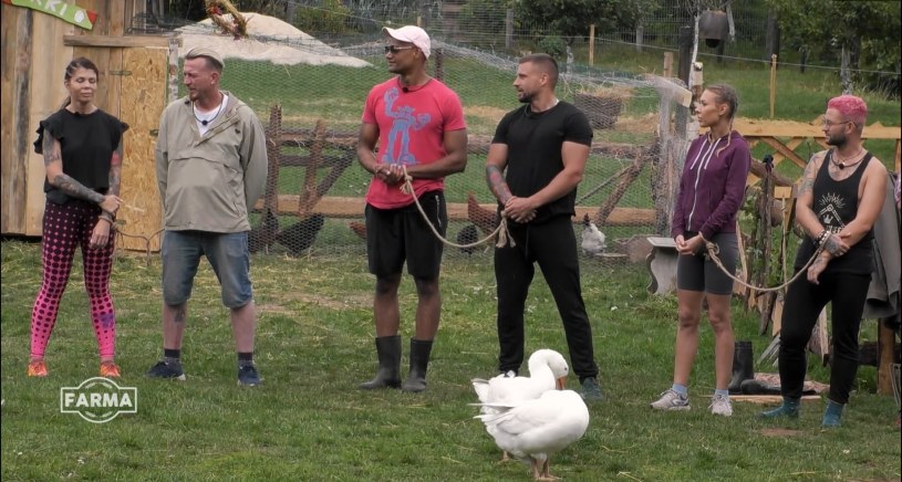 "Farma": ucieczka krowy i wspólna kąpiel uczestników. Zrobiło się ...