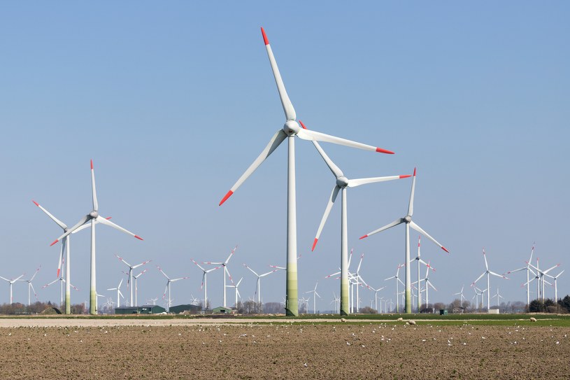 Projekt "ustawy wiatrakowej" nie będzie procedowany na najbliższym posiedzeniu Sejmu - Biznes w ...