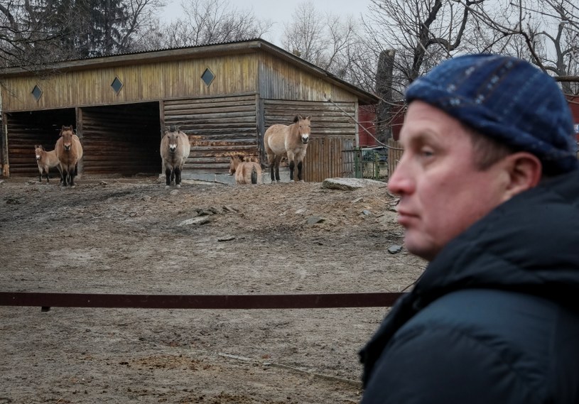 Kijów. W zoo pozostają 4 tys. zwierząt, trwa dokarmianie psów i kotów ...