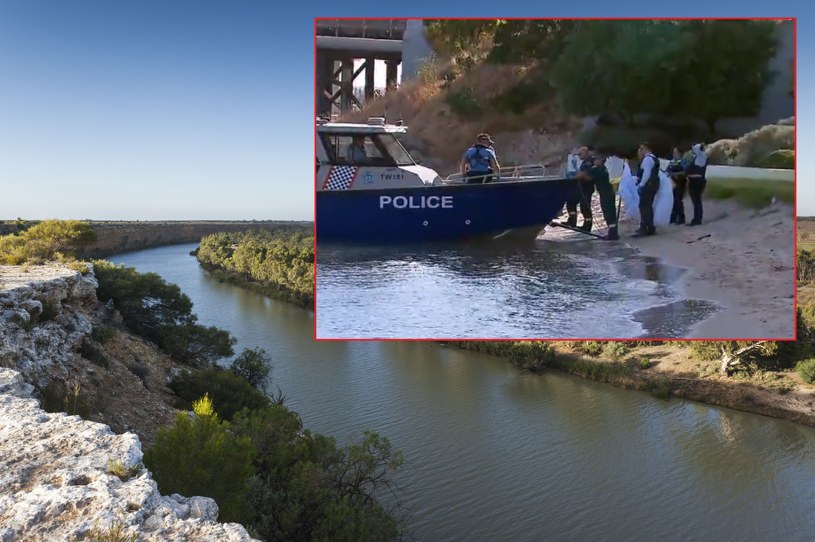 Australia. Atak rekina w rzece Swan River. Nie żyje 16-latka ...