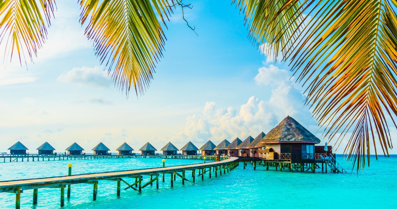 Kiedy jechać na Malediwy, co robić na rajskich wyspach i czy są tam ...