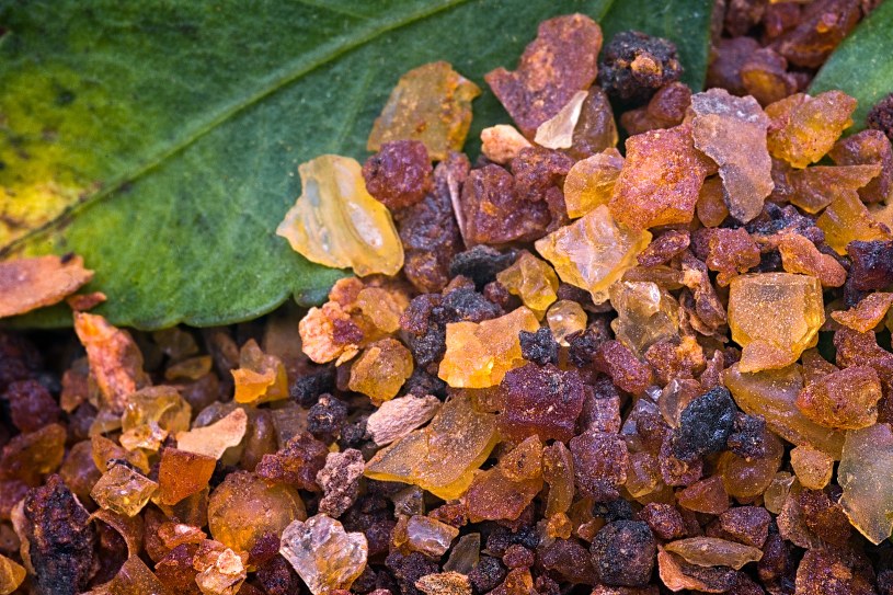 Tajemnicza substancja z Biblii. Czym jest mirra i jakie ma właściwości ...