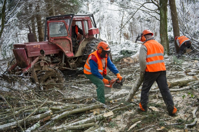 Bieszczadzki drwal. Najniebezpieczniejszy zawód w Polsce? - Geekweek w ...